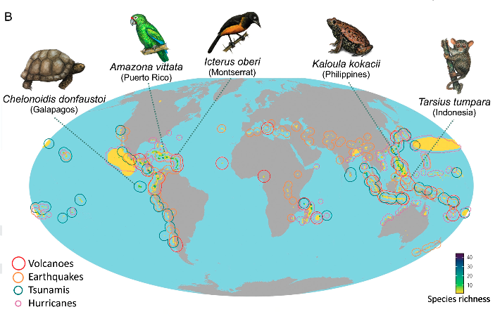 Natural hazards put some species at increased risk of extinction ...